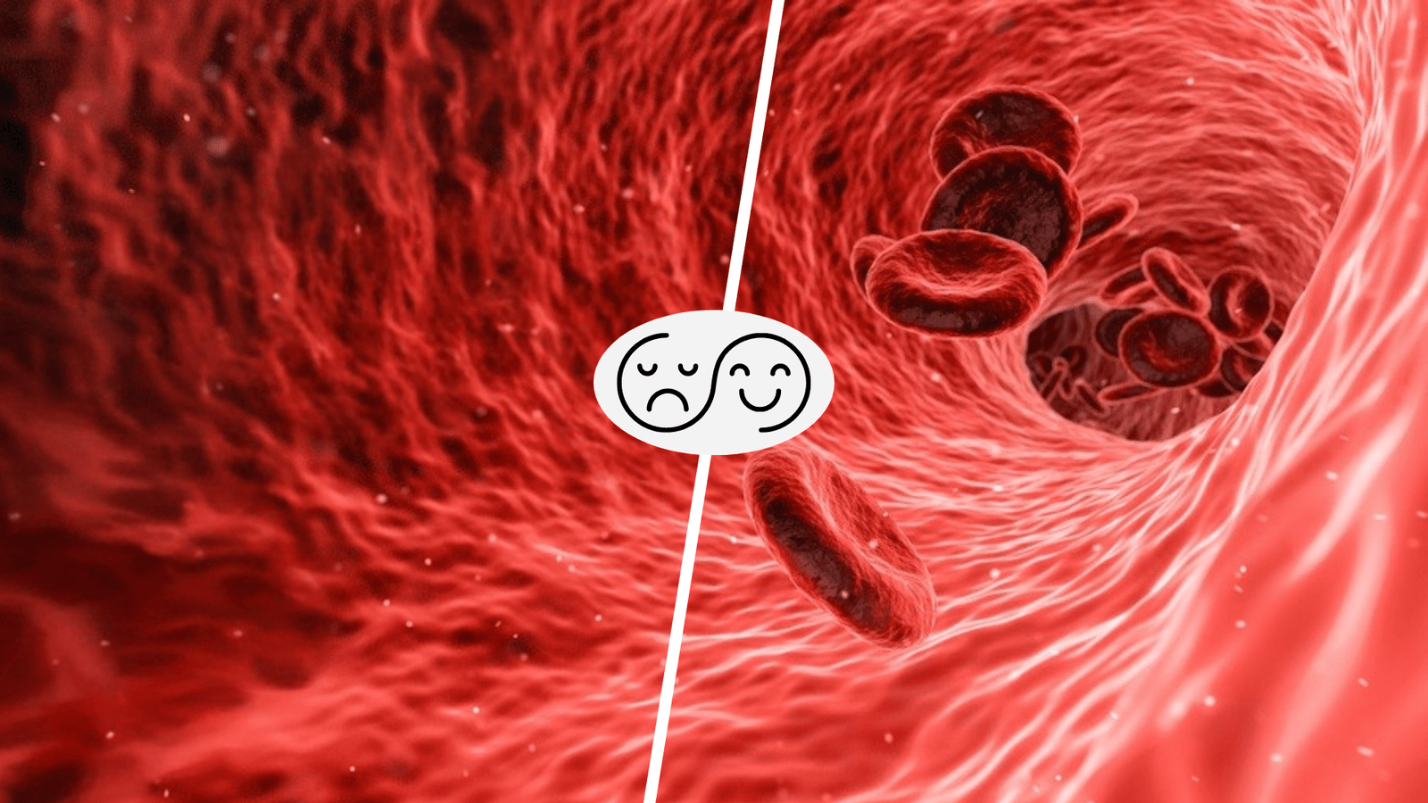 NoMore | Health and Care Red Light Therapy Devices for Well-Being